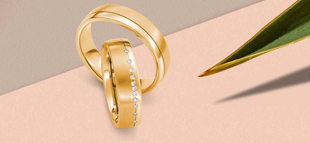 Hochzeitsringe kaufen - 100% Made in Germany | BREEDIA.at